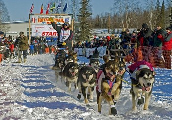 The last great race - Iditarod - robertharding